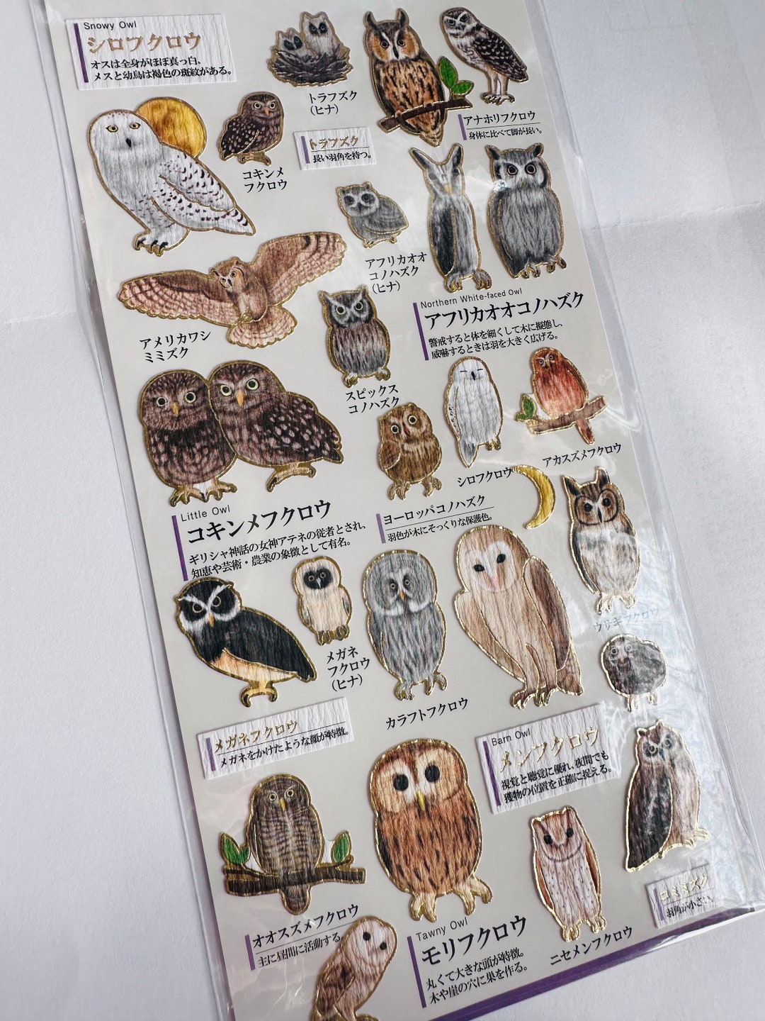 Sheet of Owl Stickers | Blue Moon | Tawny Owl | White | Baby Owl | Owl ...