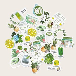 10 Set Plant/ Cocktail / Mojito /houseplant / Flower / Botanical ...