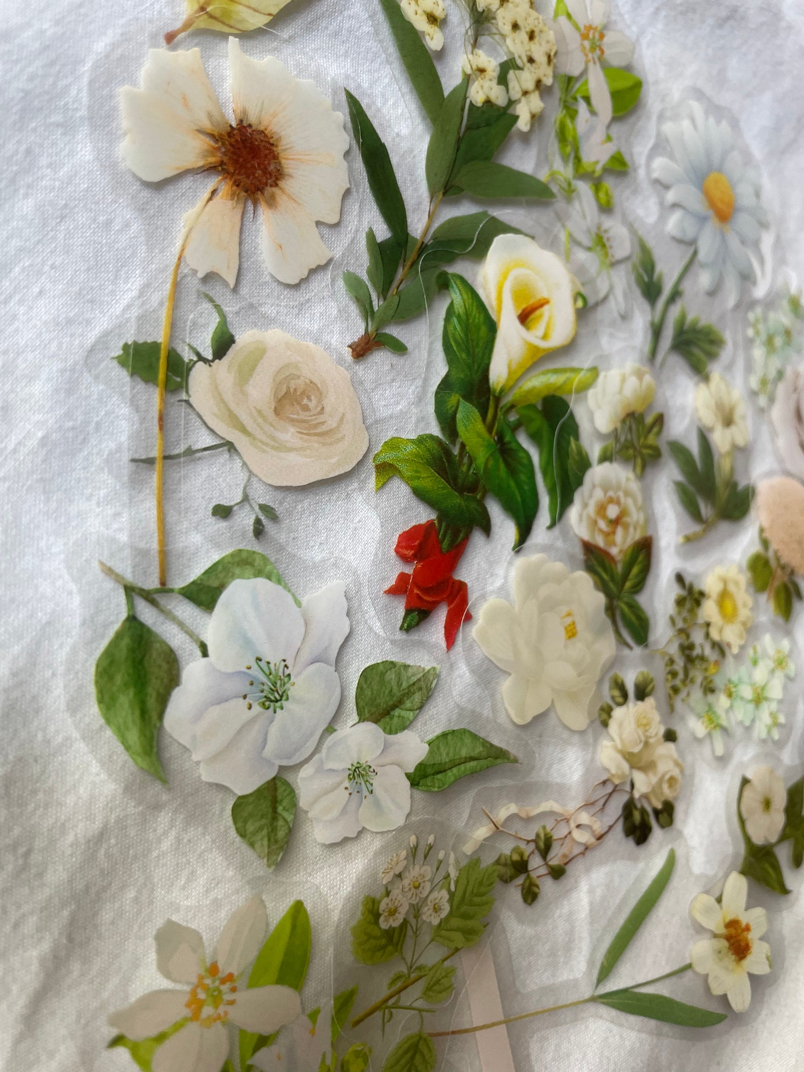 10 White Flowers Sticker Set Lily Stickers Rise Daisy - Etsy