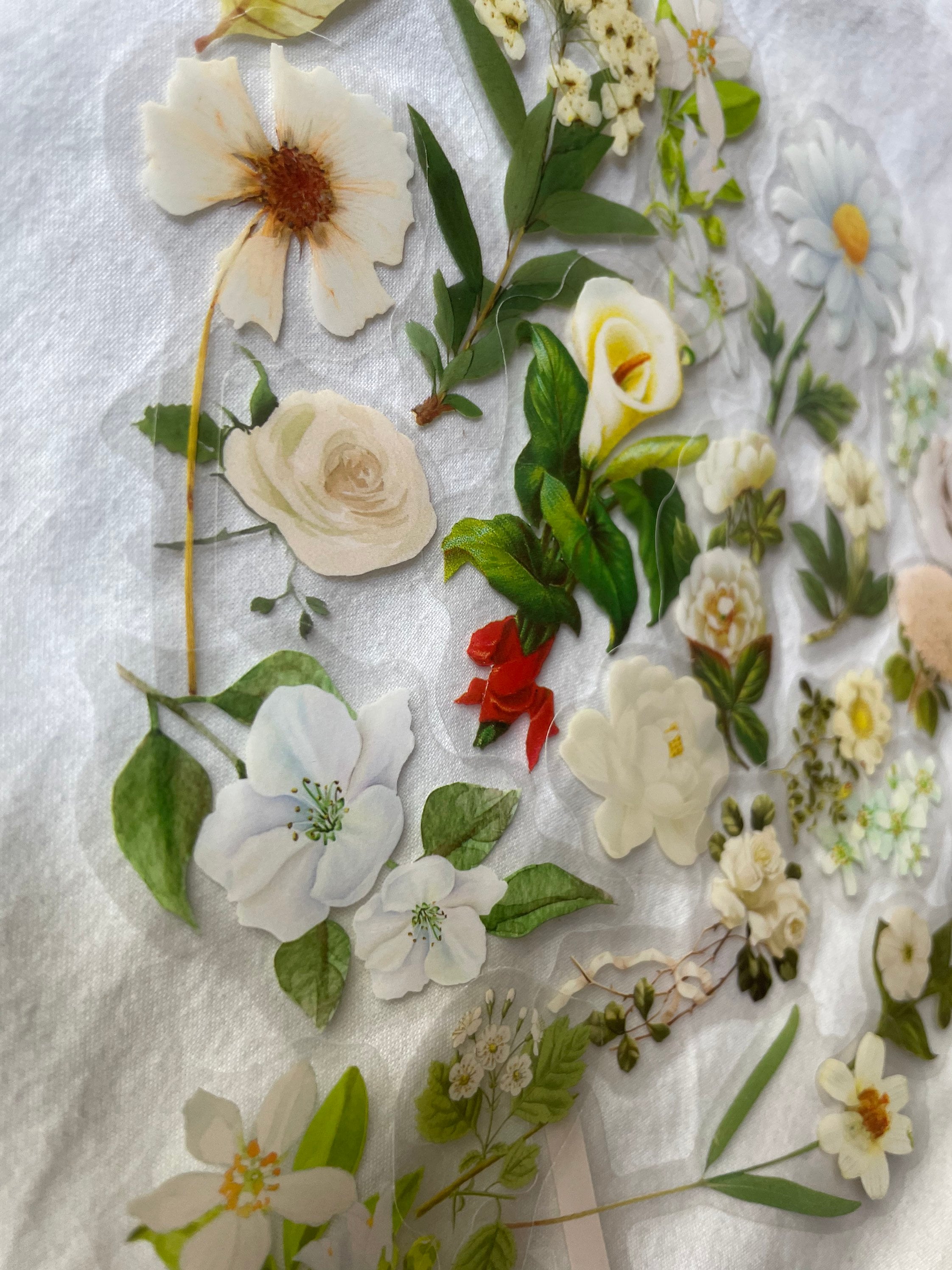 10 White Flowers Sticker Set Lily Stickers Rise Daisy - Etsy