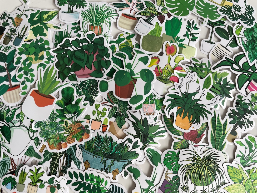 Set of Green Plant Stickers, Green Leaves, Orange Leaves, Plant ...