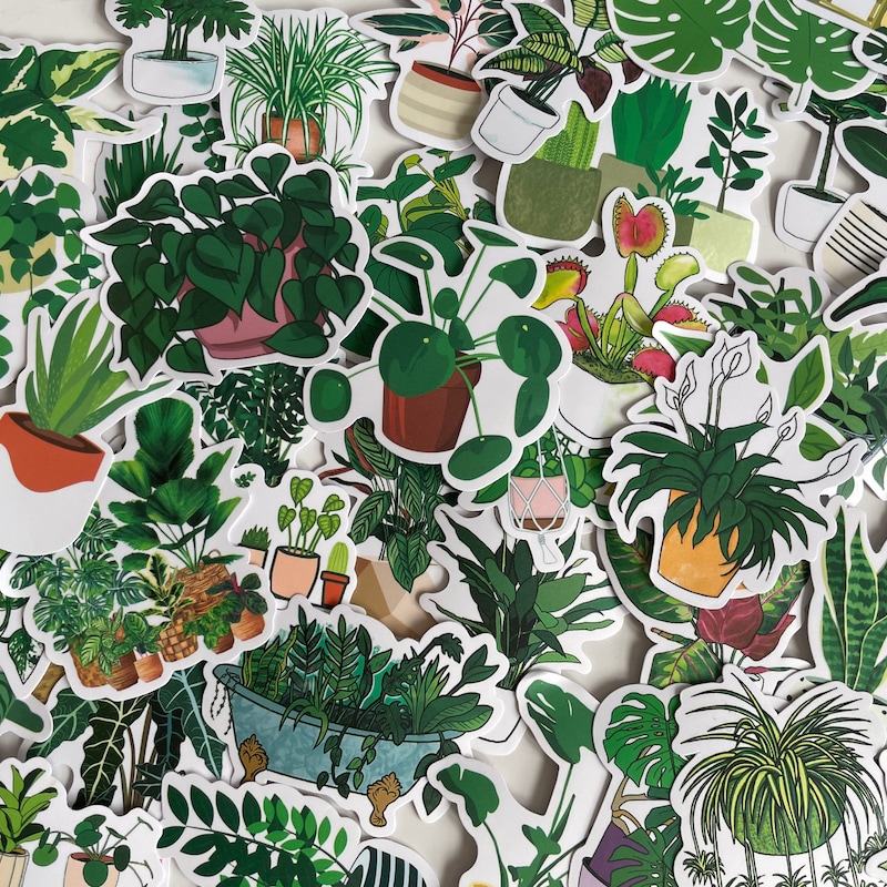 Plant Stickers - Etsy