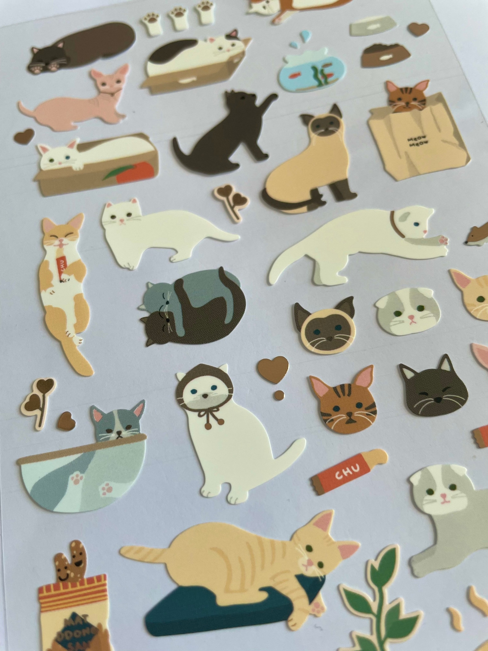 Statelier Meow Cat Stickers/ Kitty Sticker Set./ Persian / - Etsy