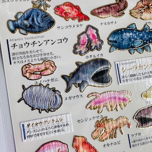 Set of Sealife Fish Stickers, Sea Life, Coral Reef Fish Marine Stickers ...