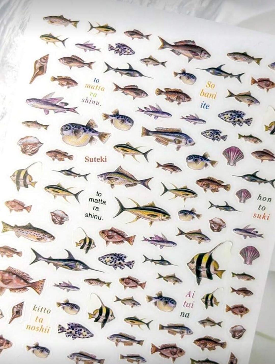 Set of Tiny Fish Stickers, Life, Coral Reef Fish Marine Stickers ...