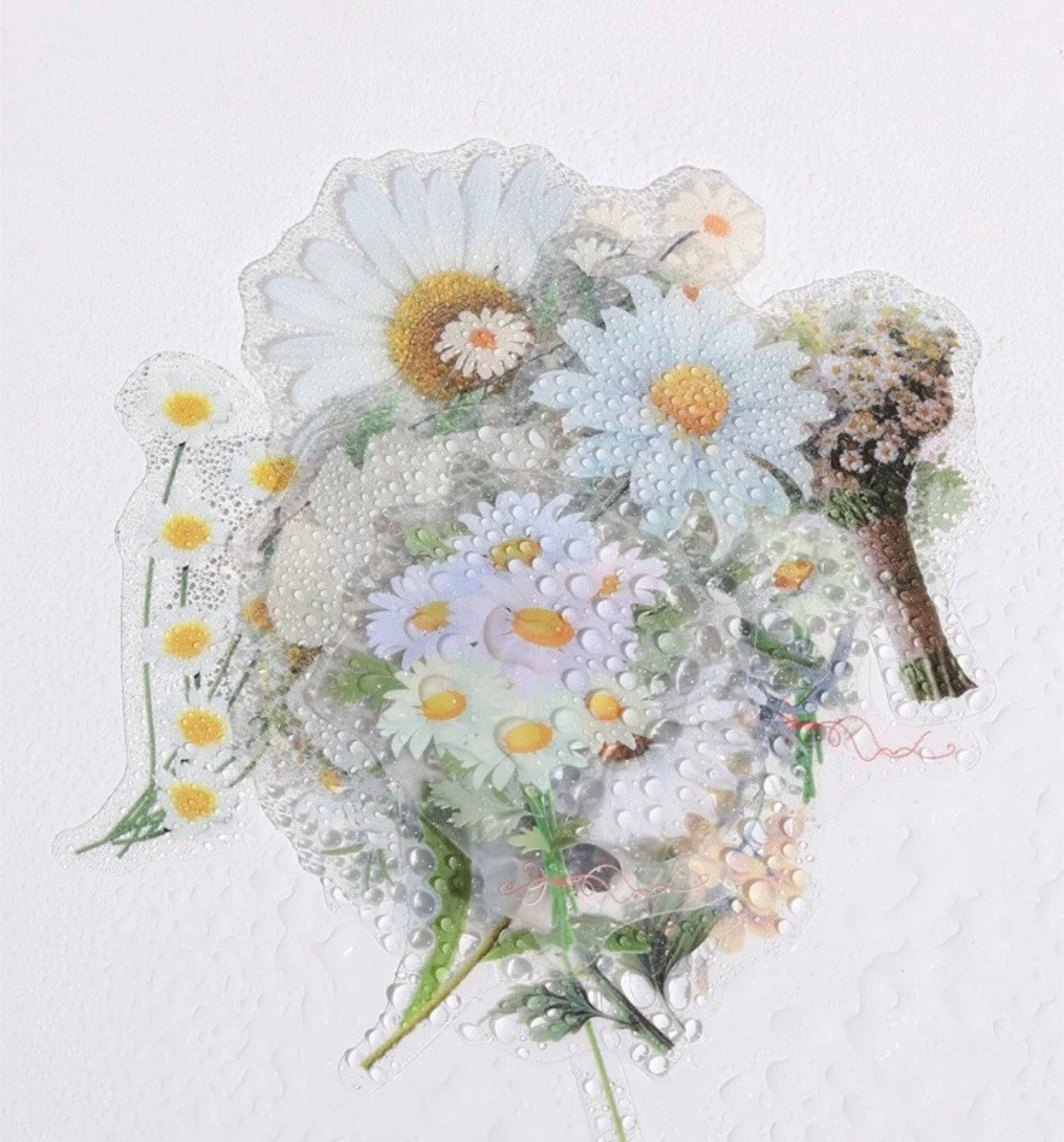 10 Daisy Flowers Sticker Set, Flower Stickers, Meadow , Daisy Stickers ...