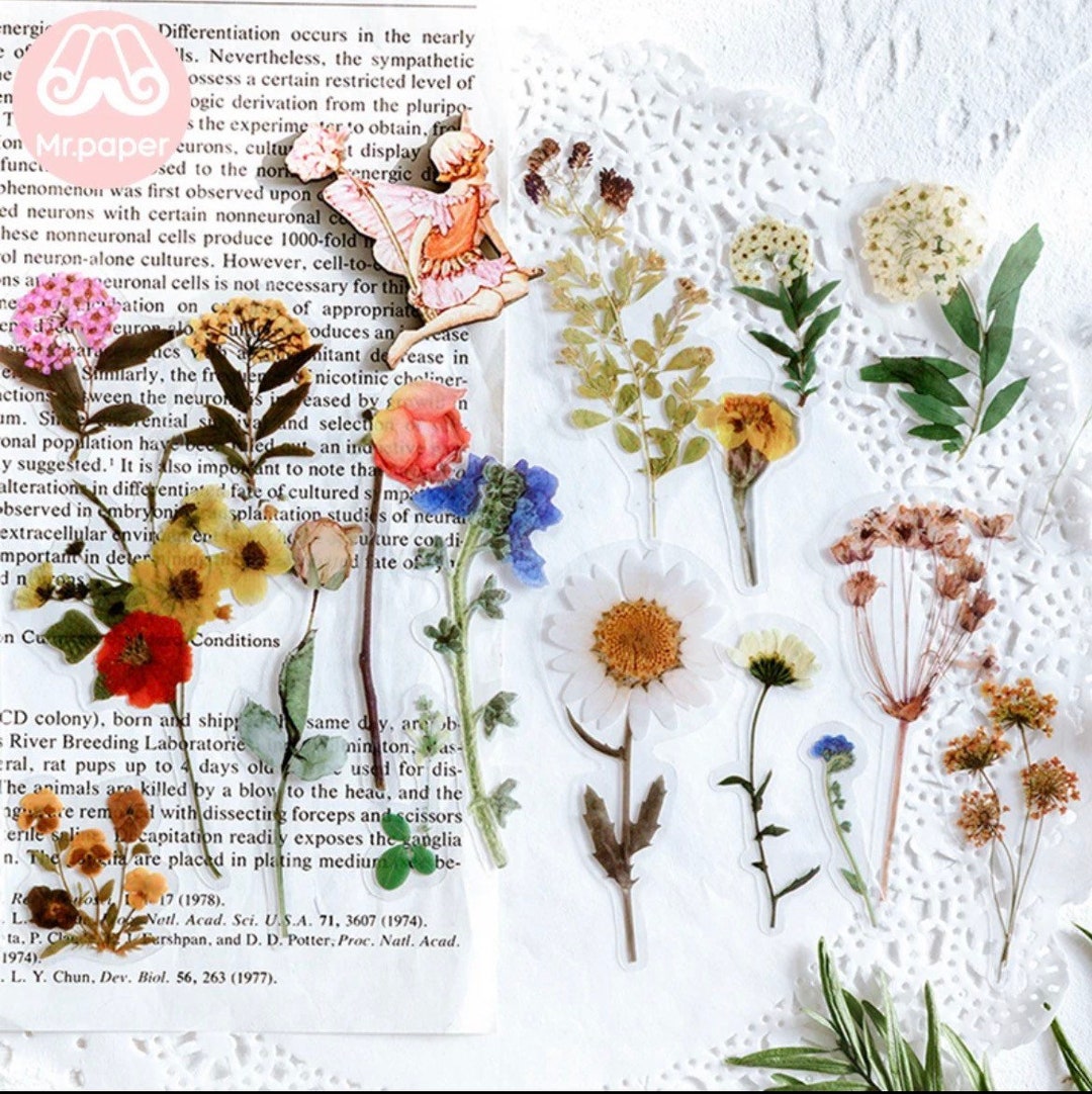 10 Pressed Flower Sticker Pack | Waterproof Reusable Set | Clear Backed ...