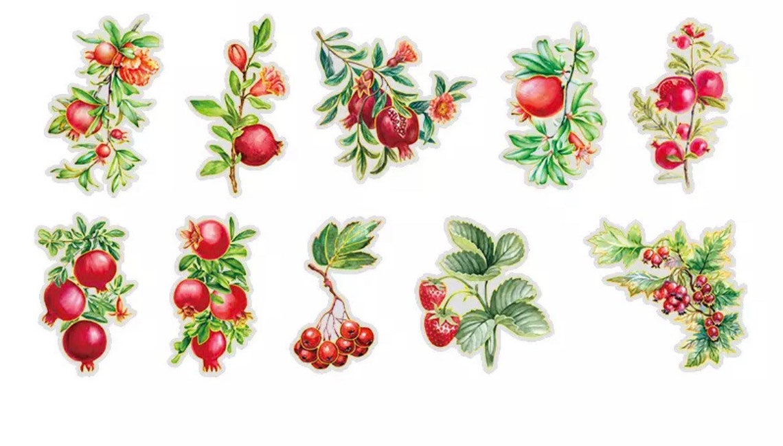 Pomegranate Fruits Sticker Set, Citrus Stickers, Fruity Stickers ...