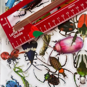 Large Vinyl Transparent Insect Stickers | Die Cut Decal Set ...