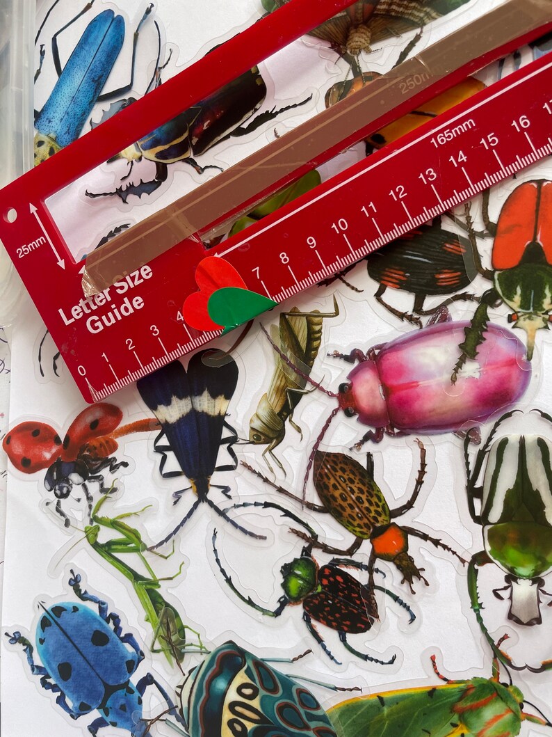 Large Vinyl Transparent Insect Stickers | Die Cut Decal Set ...