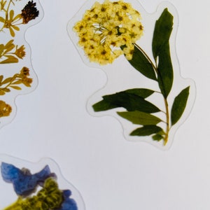 Yellow Flowers Sticker Set, Wild Flower Bouquet Stickers, Wildflowers ...