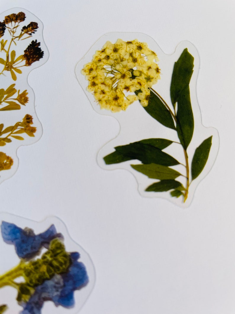 Yellow Flowers Sticker Set, Wild Flower Bouquet Stickers, Wildflowers ...
