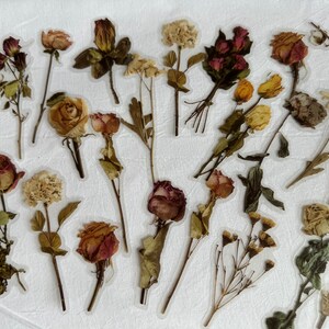 10 Dried Flower Stickers, Journaling Stickers, Pressed Flower Stickers ...