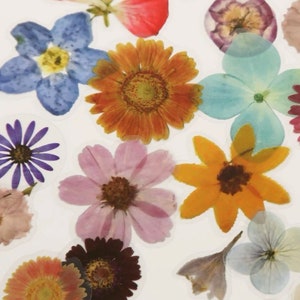 10 Pressed Flower Sticker Pack | Waterproof Reusable Set | Clear Backed ...