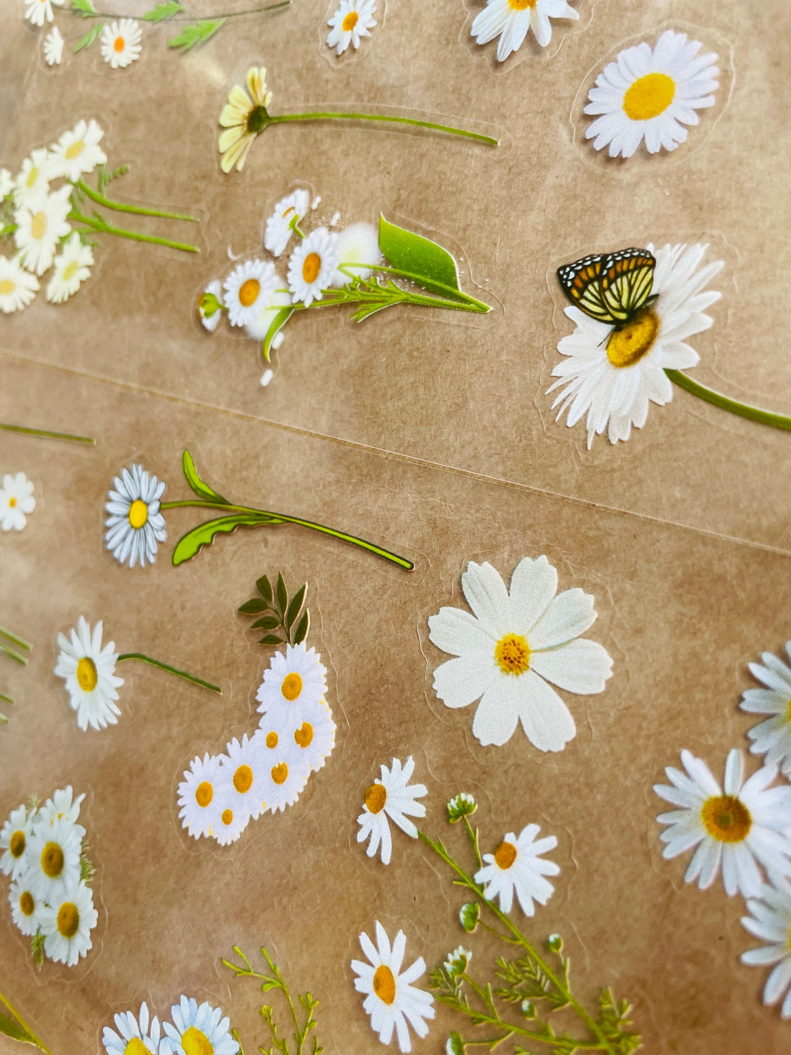 Daisy Flowers Sticker Sheet, Flower Stickers, Meadow , Daisy Stickers ...