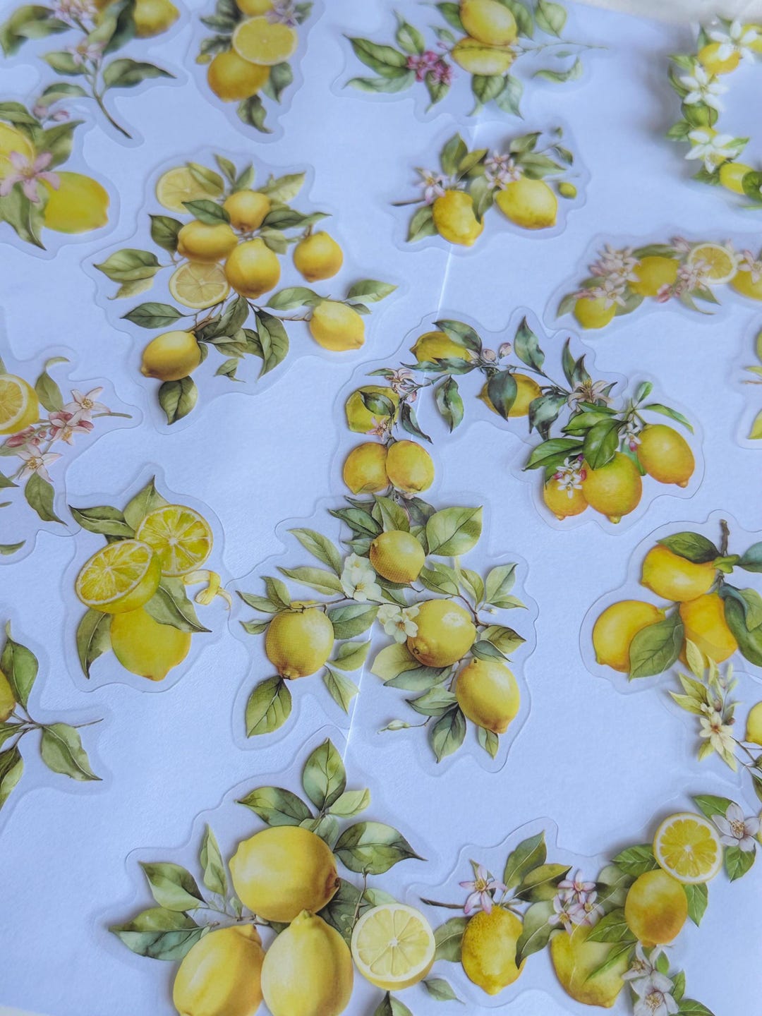 Lily Lemon Fruits Sticker Set, Citrus Floral Stickers, Fruity Stickers ...