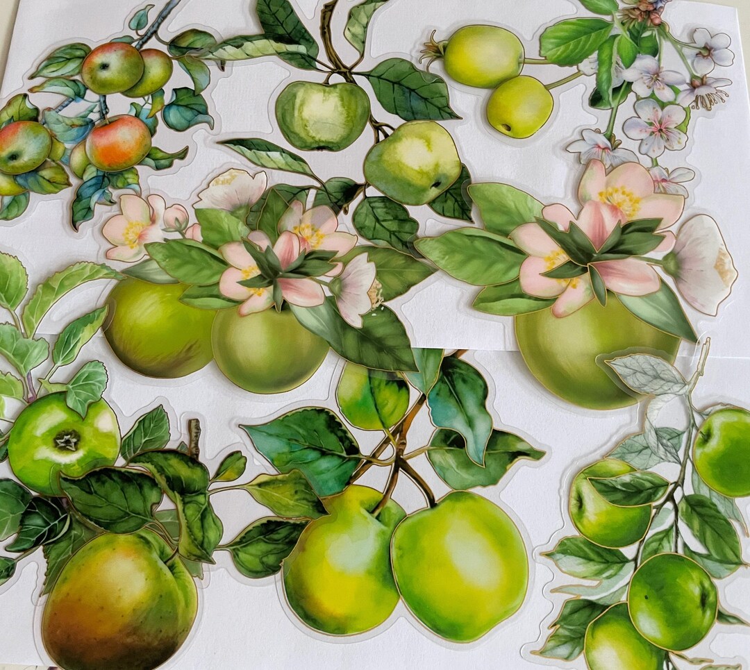 Apple Fruit Sticker Set, Orchard Stickers, Blossomfruity Stickers ...