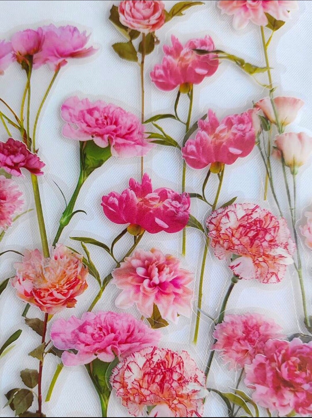 Pink Carnation Flowers Sticker Set, Pink Blossom Stickers, Lily, Peony ...