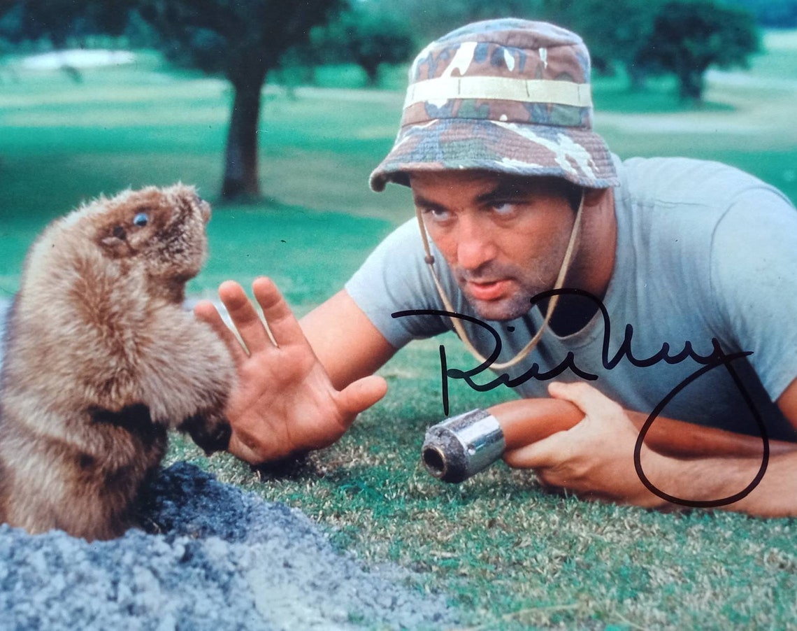 Bill Murray Signed 8x10 Photo Authentic Autograph W/ A1COA - Etsy