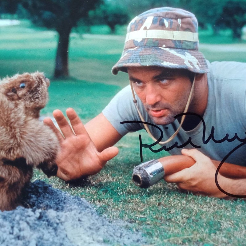 Bill Murray Autograph - Etsy