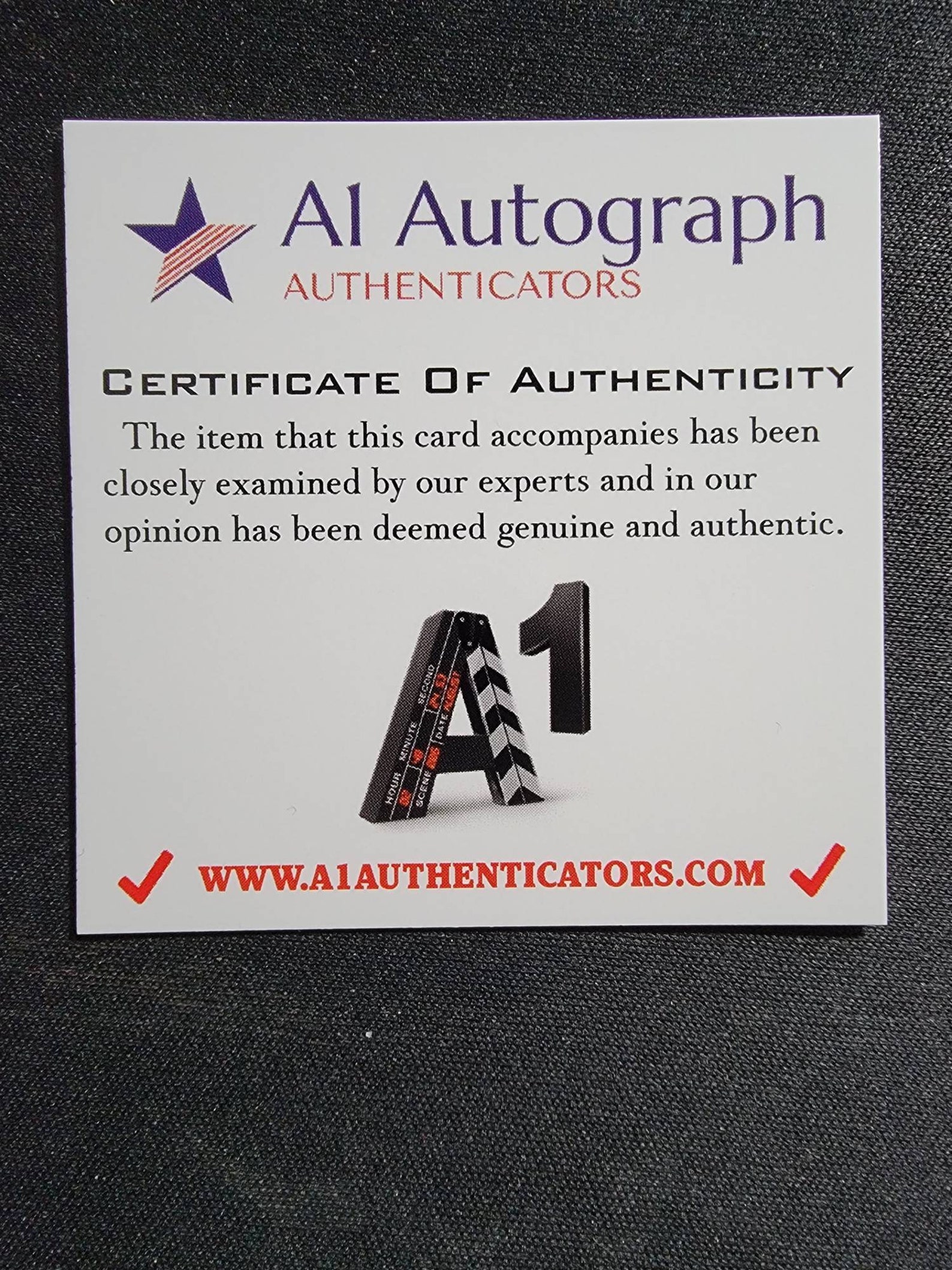 Bill Murray Signed 8x10 Photo - Authentic Autograph W/ A1COA - Etsy