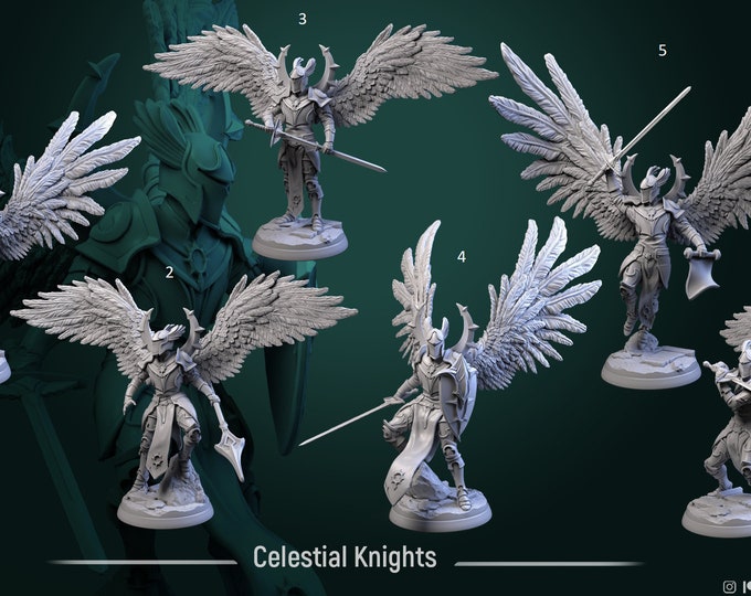 Celestial Knight/ Angel Warrior for Dungeons and Dragons (D&D ...