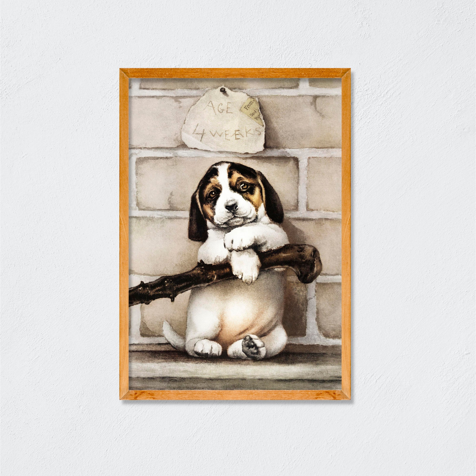 Puppy Drawing
