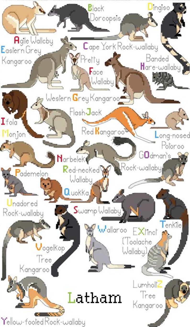 Macropods Alphabet Cross Stitch - Etsy