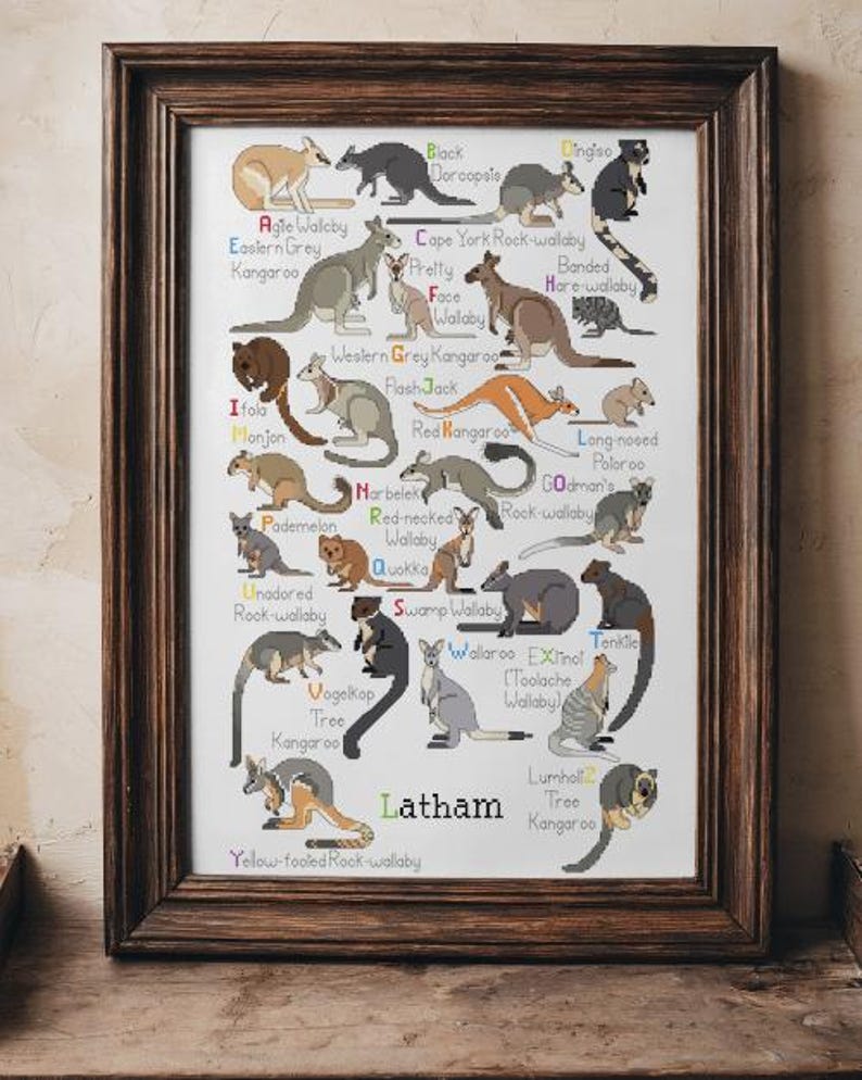 Macropods Alphabet Cross Stitch - Etsy