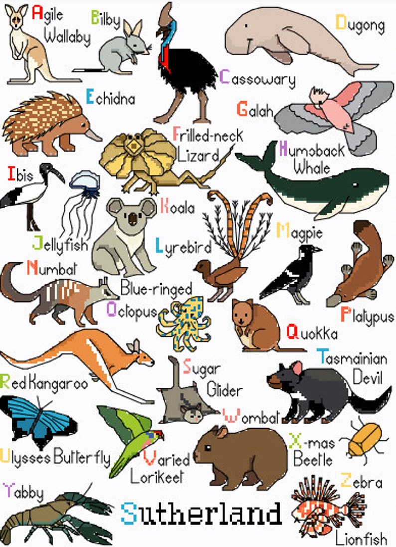 Australian Animals Alphabet Cross Stitch - Etsy Australia