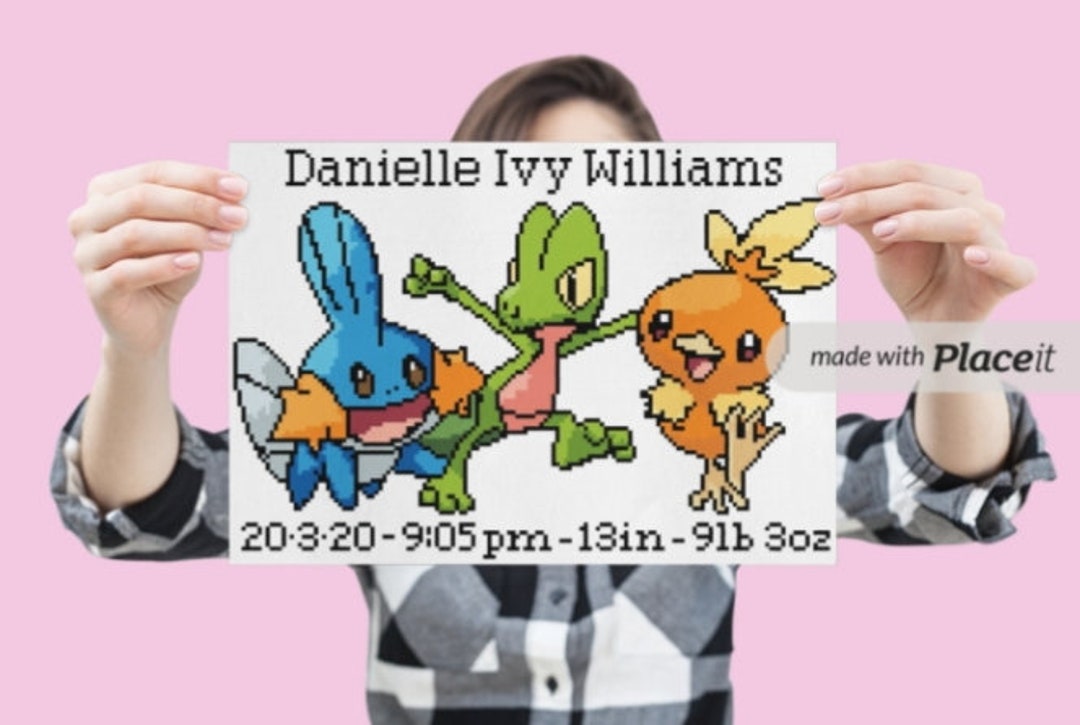 Pokemon Generation 3 Baby Sampler. Mudkip, Treecko, Torchic - Etsy