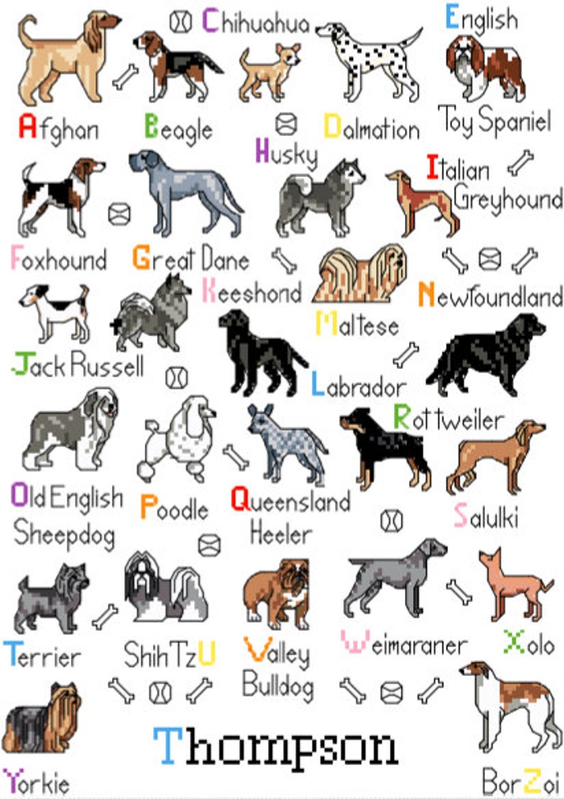 Dog Breeds Alphabet Cross Stitch - Etsy