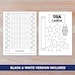 Patriotic USA Paper Lantern Crafts | for USA Holidays Flag Day, 4th of ...