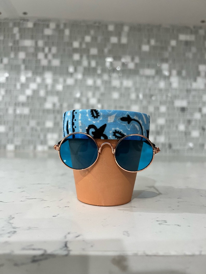 BUD the Hippie Terracotta Face Planter Pot Sunglasses Bandana | Indoor ...