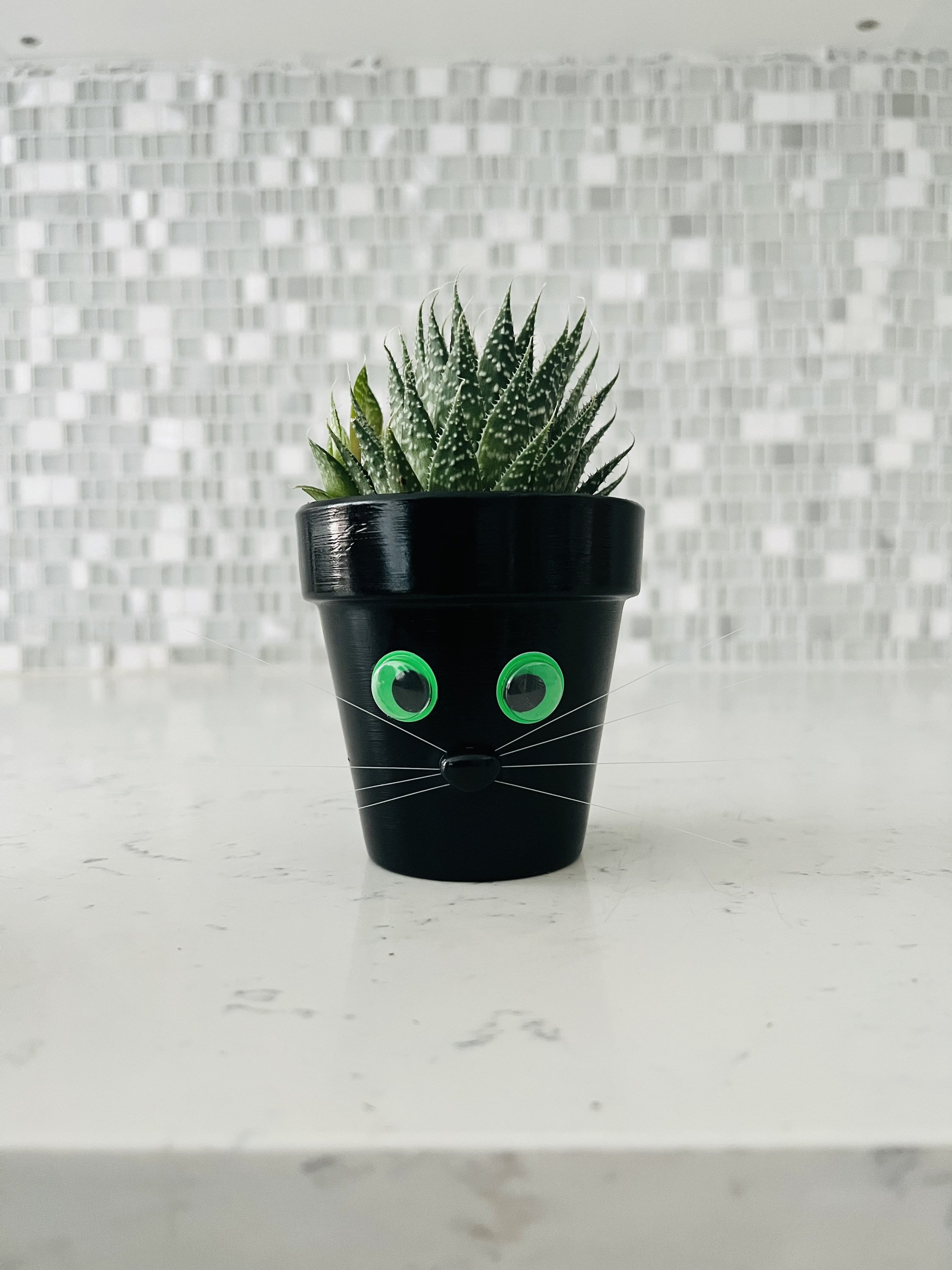 Black Cat Planter Pot Green Eyes With Whiskers; for Indoor Houseplants ...