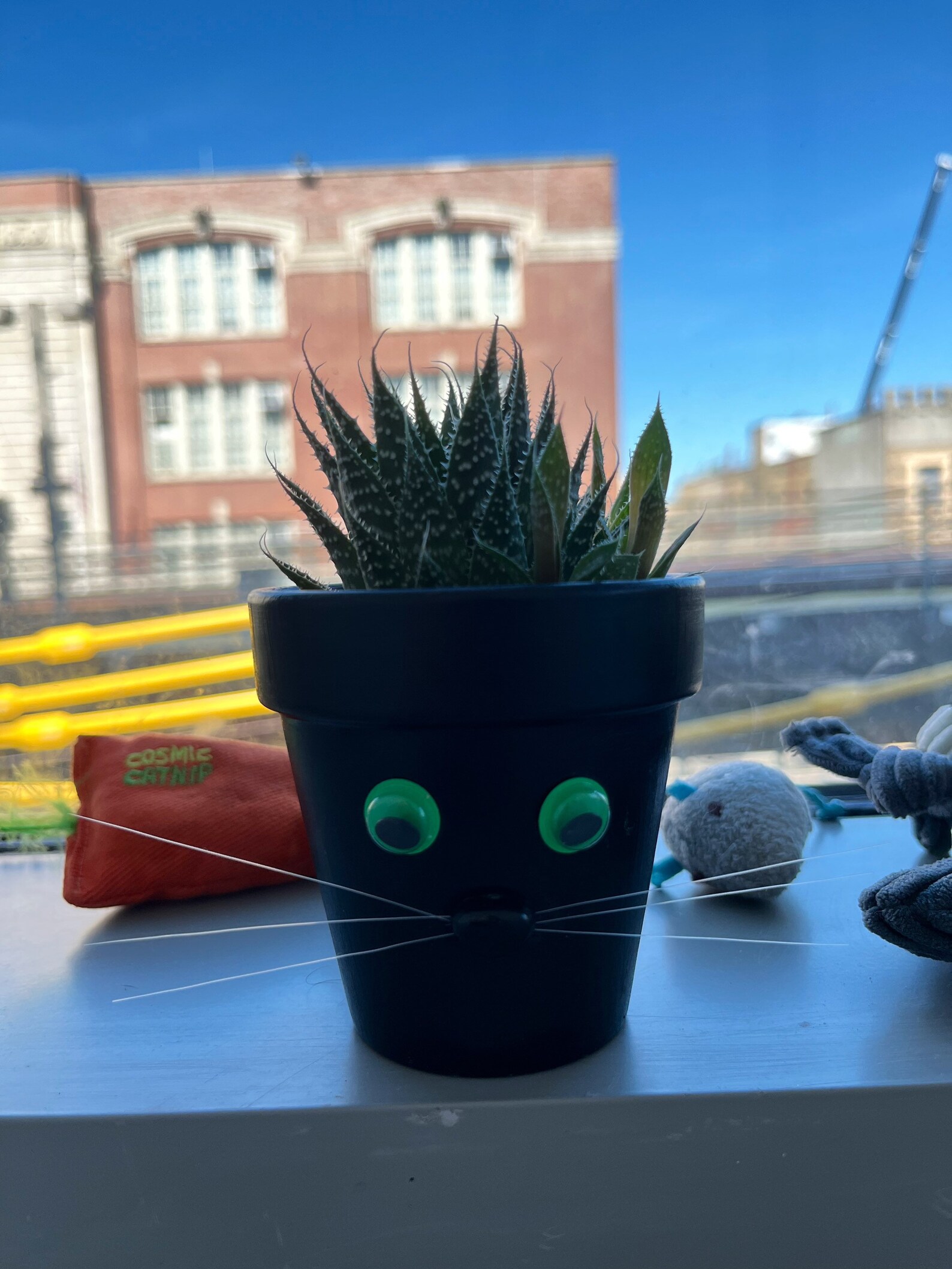 Black Cat Planter Pot Green Eyes With Whiskers; for Indoor Houseplants ...