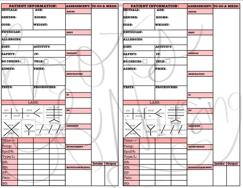 2 Patient RN Report Sheet - Etsy