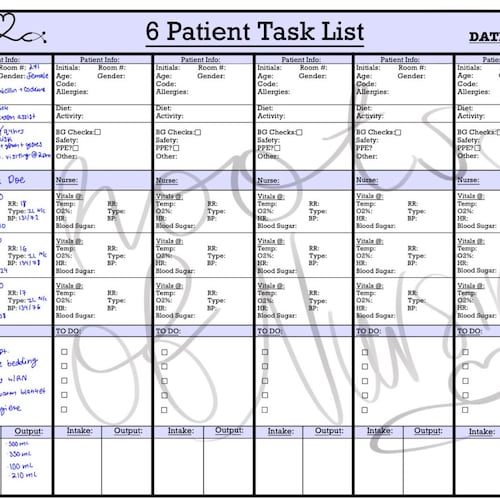 CNA Patient Task List/report Sheet for 6 Patients - Etsy