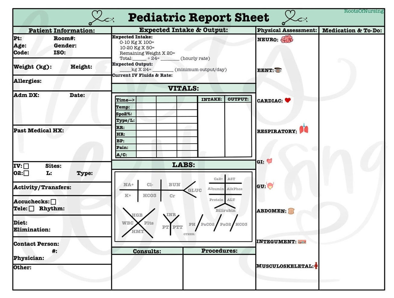 1 Patient Pediatric Report Sheet - Etsy