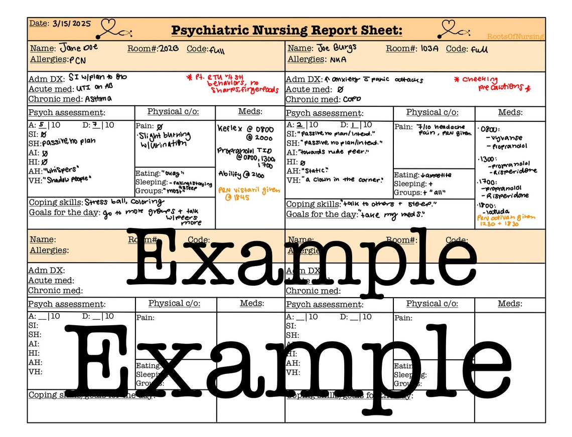 4 Patient Psych Nursing Report Sheet - Etsy