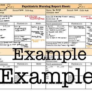 4 Patient Psych Nursing Report Sheet - Etsy