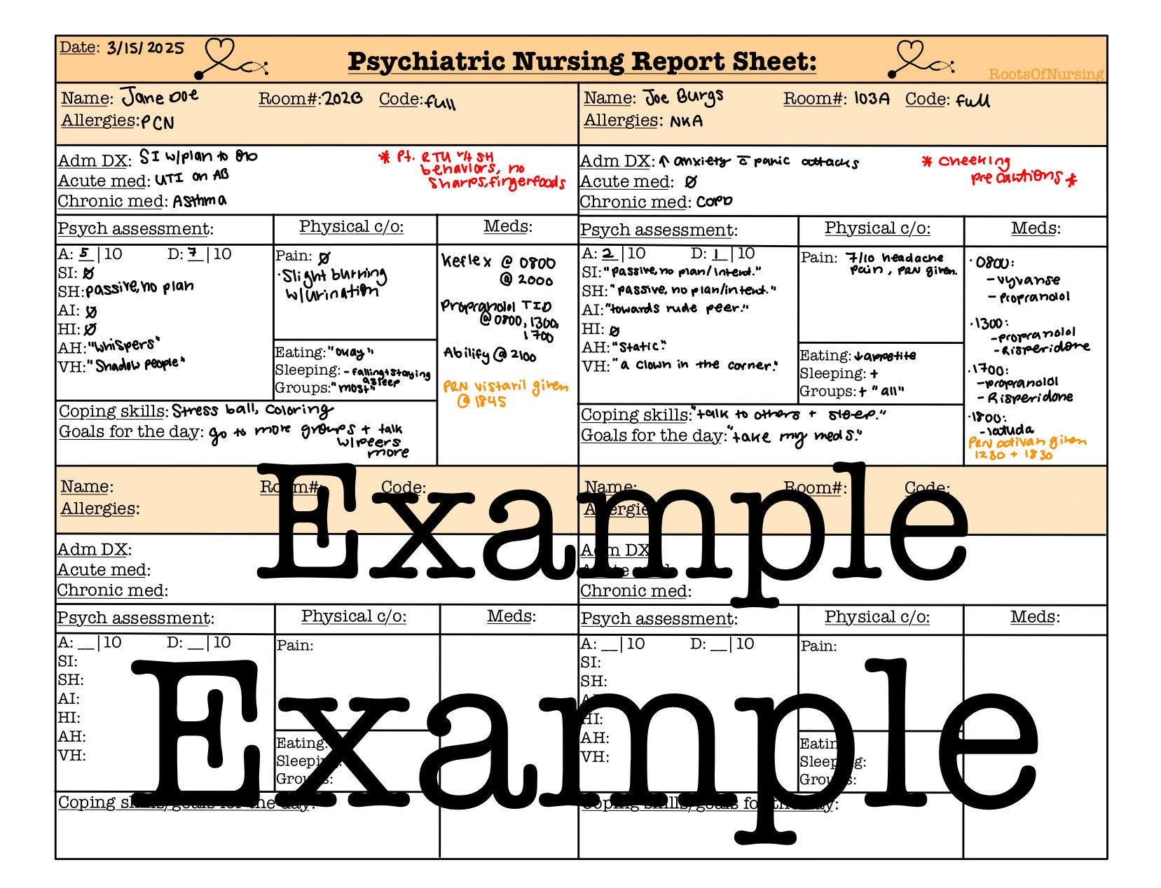 4 Patient Psych Nursing Report Sheet - Etsy
