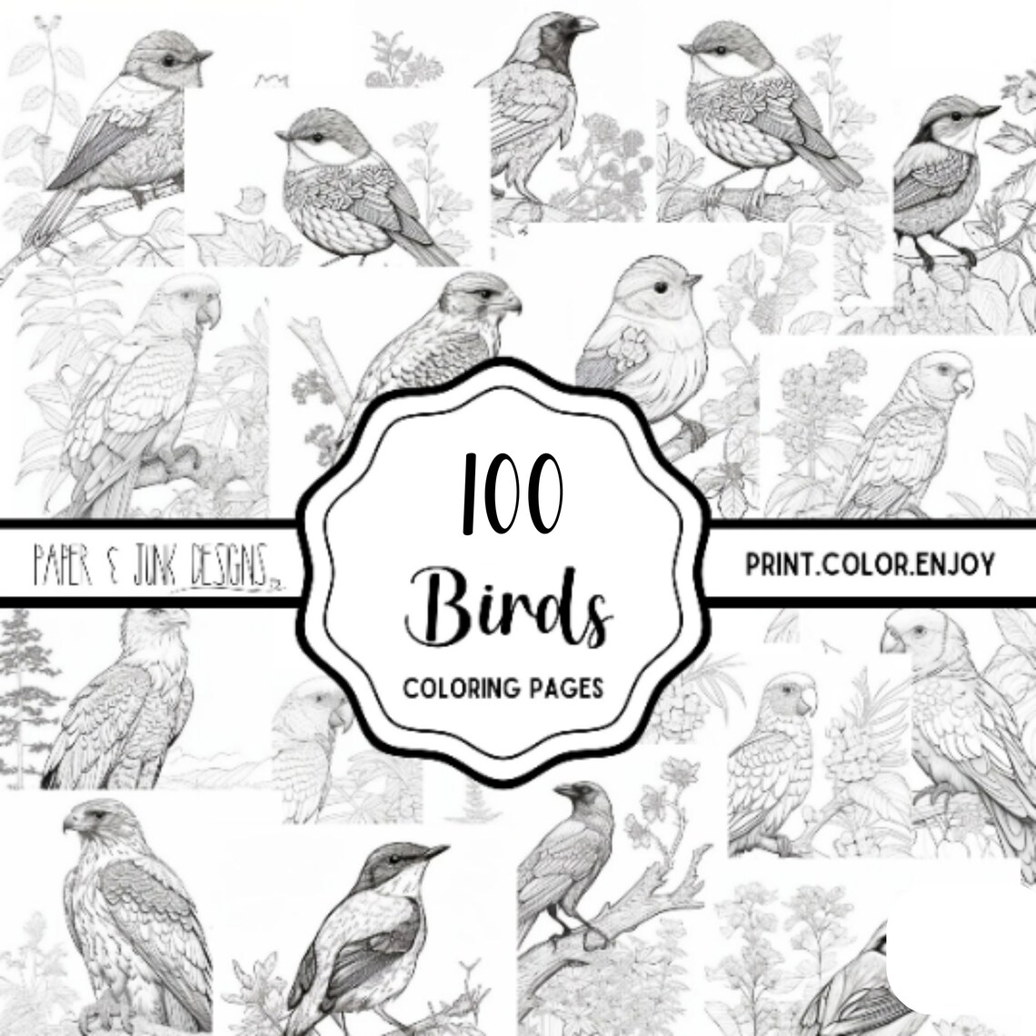 Printable Birds Coloring Pages Set of 100 PDF Format - Etsy