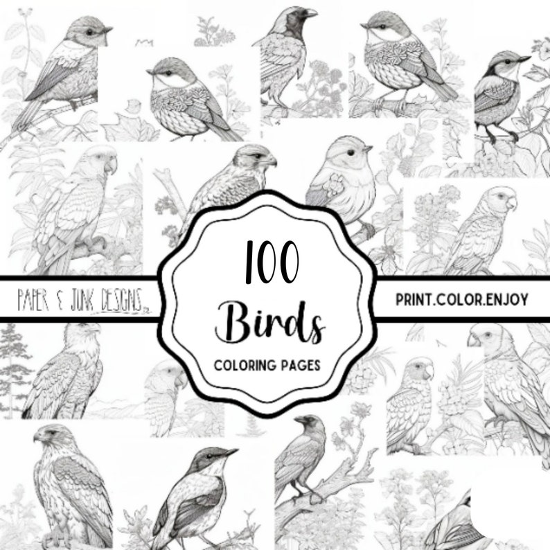 Printable Birds Coloring Pages Set of 100 PDF Format - Etsy