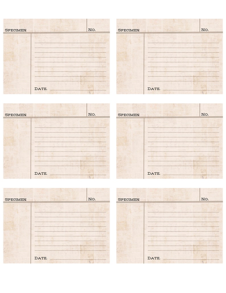 Printable Wildflower Specimen Cards 24 Ready-made and 6 Blank Specimen ...