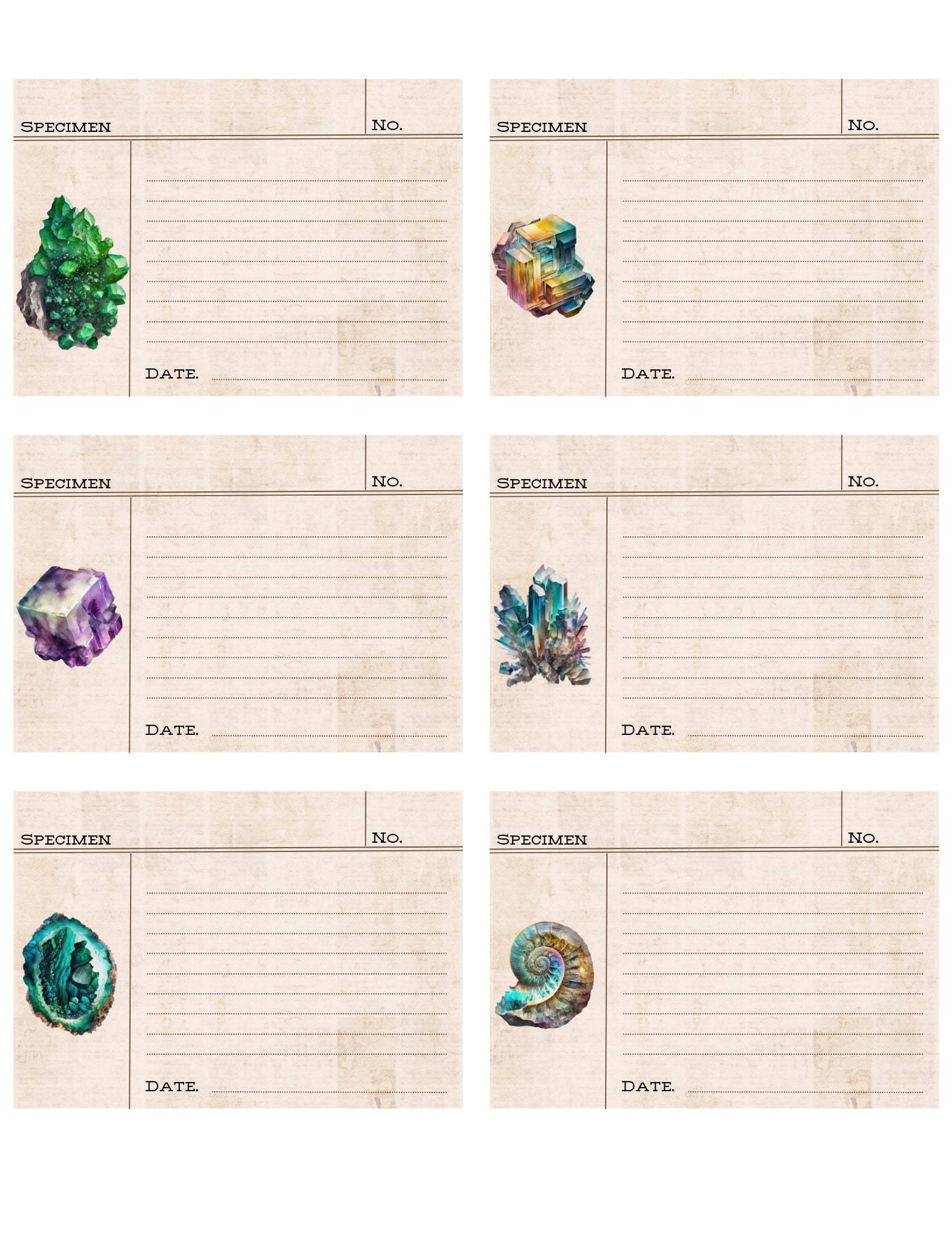 Printable Gems and Minerals Specimen Cards 24 Ready-made and 6 Blank ...