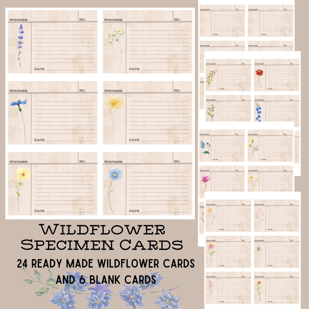 Printable Wildflower Specimen Cards 24 Ready-made and 6 Blank Specimen ...