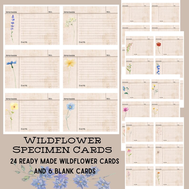 Printable Wildflower Specimen Cards 24 Ready-made and 6 Blank Specimen ...