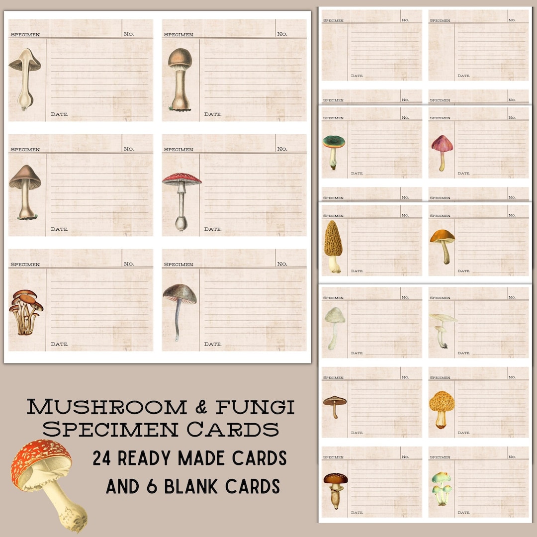 Printable Mushrooms and Fungi Specimen Cards 24 Ready-made and 6 Blank ...