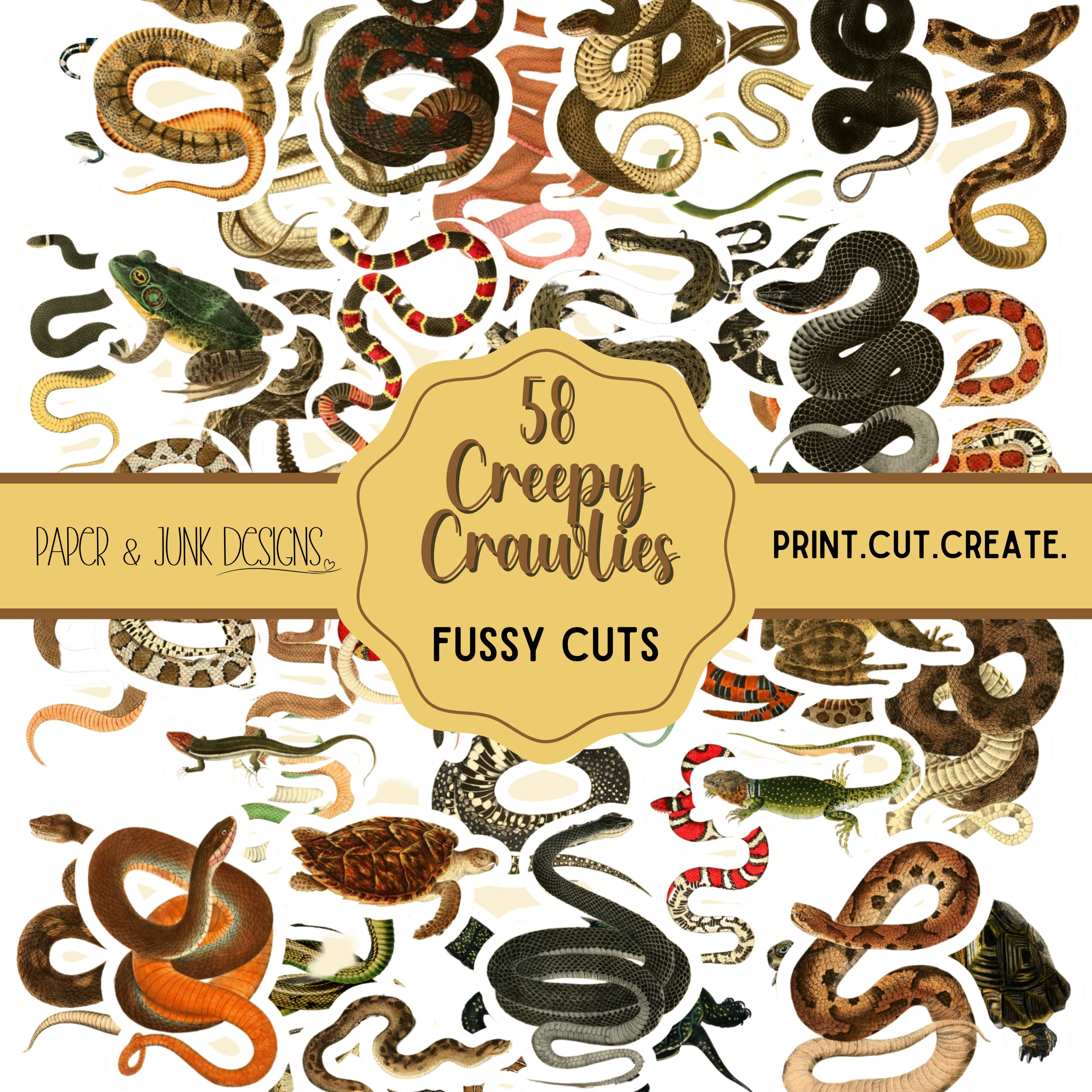 Printable 58 Snakes and Creepy Crawlies Ephemera to Fussy Cut. Print ...